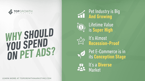 Pet Ads: How to Market Your Pet Brand to Puurfection